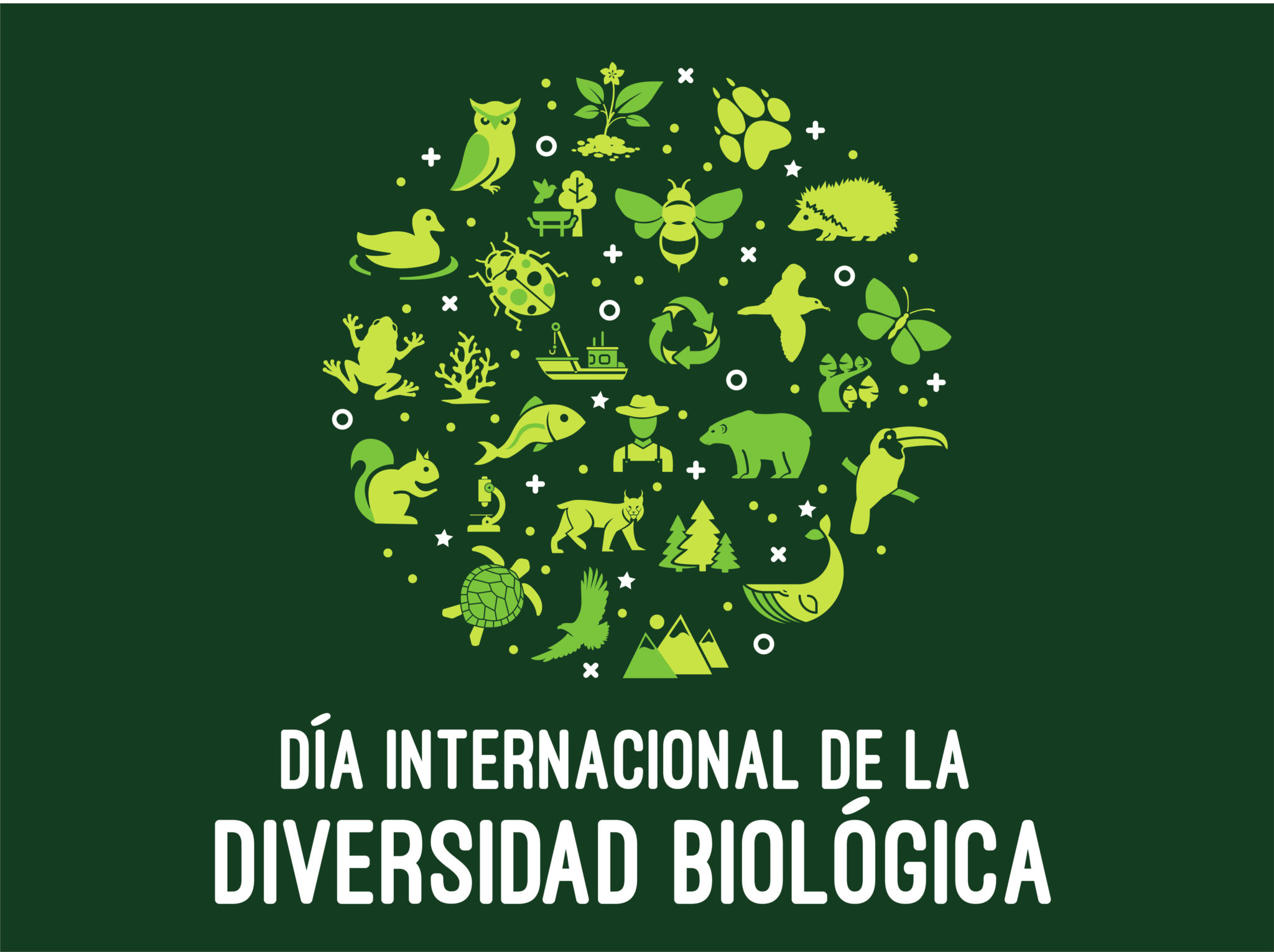 Día Mundial de la Diversidad Biológica - Fundación Biodiversidad