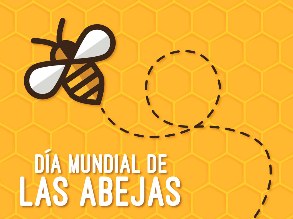 Día Mundial de las Abejas - Fundación Biodiversidad