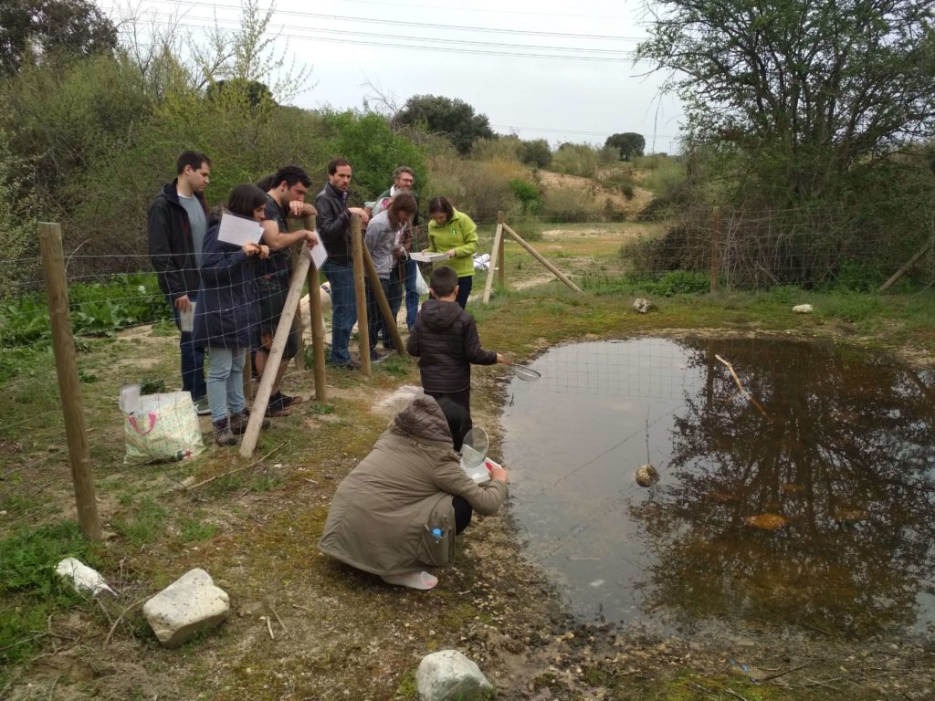 Restauración de ecosistemas y participación ciudadana: creación de ...