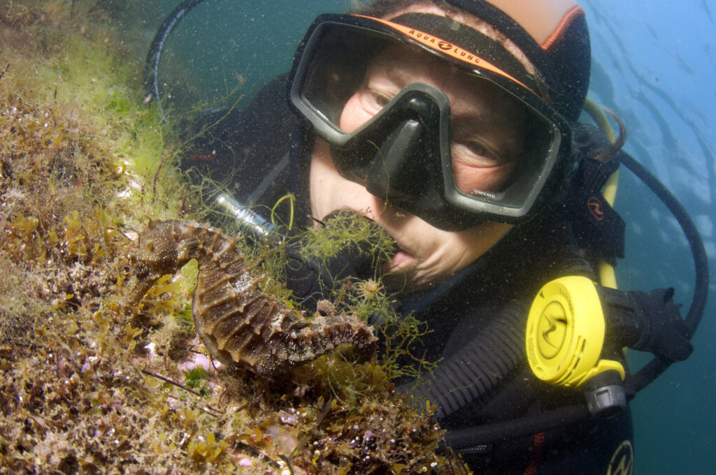 EUROSYNG - Promoting action on broad ocean challenges by delving into ...