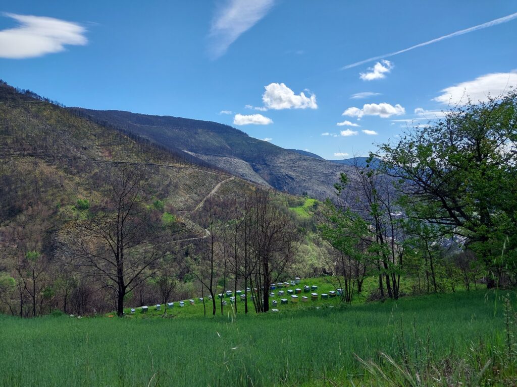 Active Communities and Landscapes Resilient to Wildfire and Climate ...